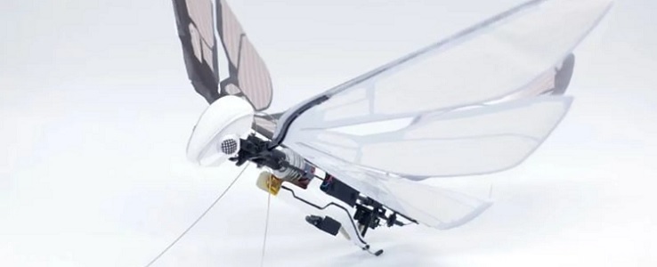 Robotyczny owad MetaFly